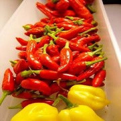 Hot Sauce, Pique Recipe – www.ElColmado.com